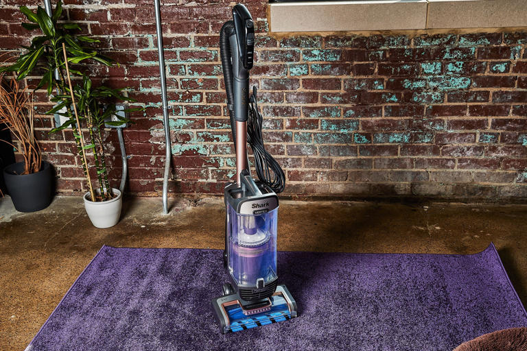 Yes, Dyson did well in my vacuum testing. But it’s not the one I ...