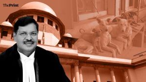 I will look into this, says CJI on stray dogs matter amid uproar over ...