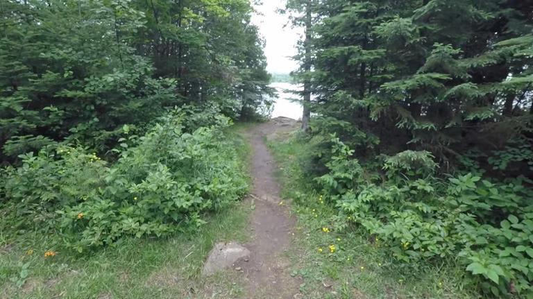 Nestled In Minnesota's Superior National Forest Is A Secret Lakefront ...