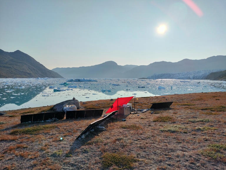 Seafloor fiber sensing reveals how falling ice drives glacial retreat ...