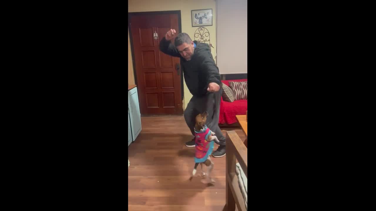 Man and dog dance together in Limache, Chile