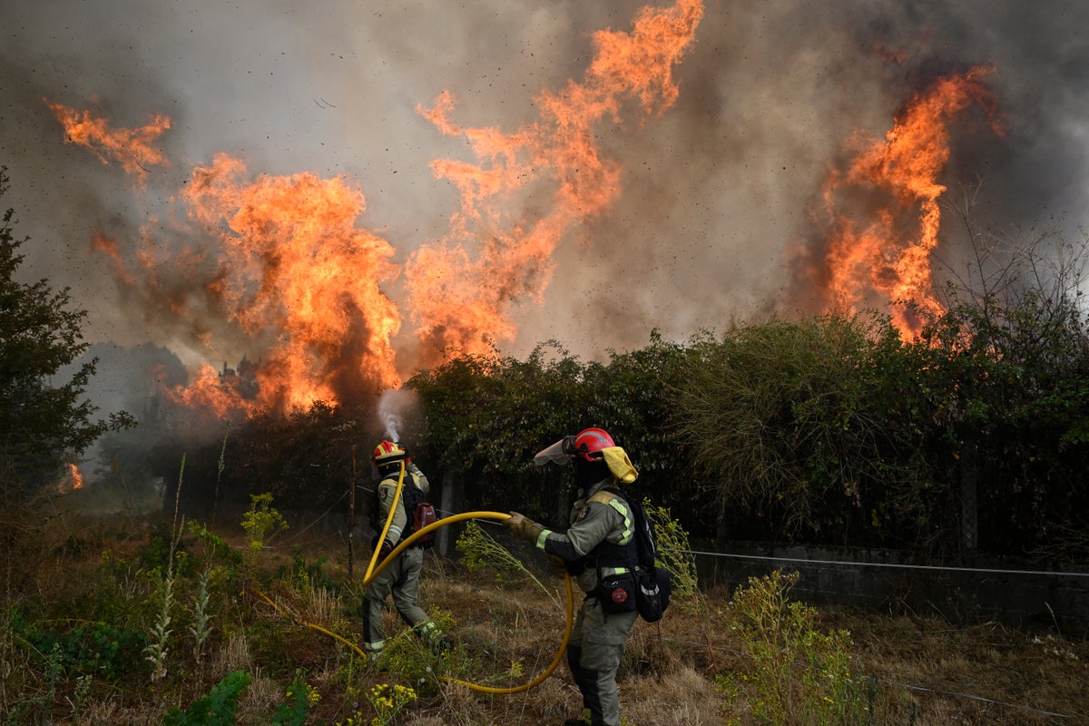 Wildfires in Madrid burn 26 horses to death as record-breaking heatwave ...
