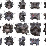 Vasuki Indicus: Prehistoric India’s World-Beating Snake