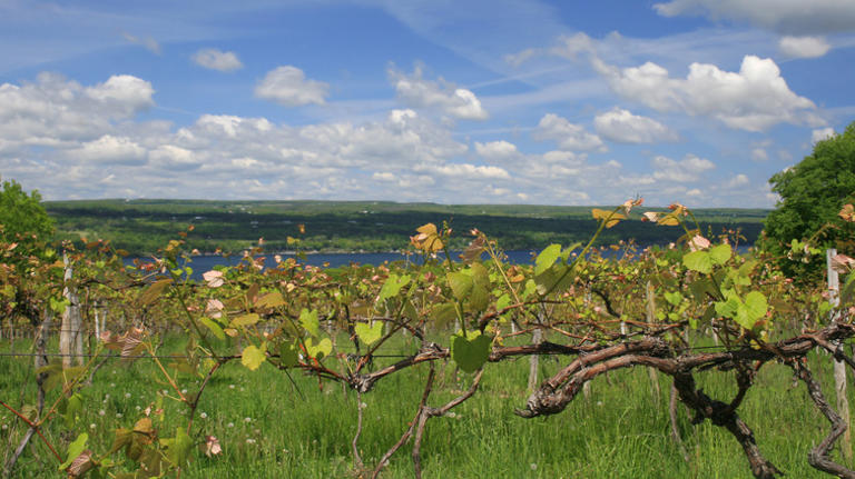 This Small, Serene New York Getaway Sits Amid Divine Finger Lakes Landscapes And Exceptional ...