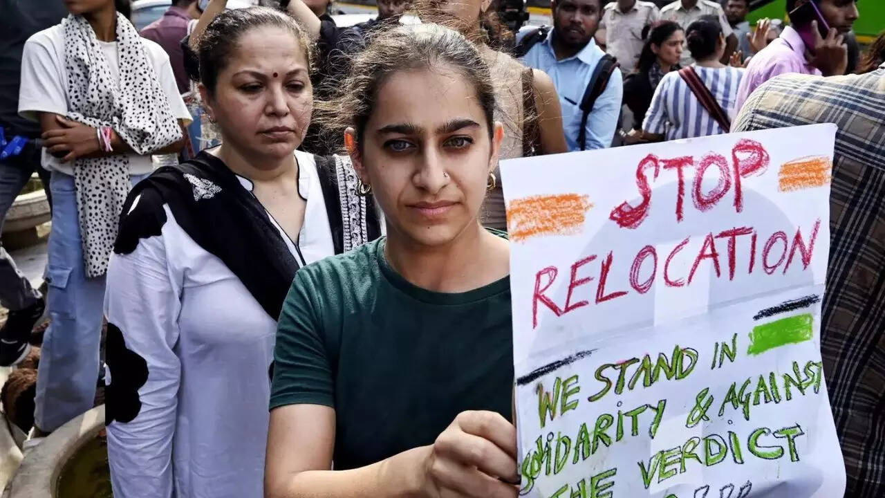 Delhi stray dogs issue: CJI refers matter to 3-judge bench of SC; hearing on Thursday