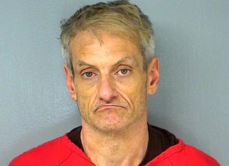 Methamphetamine, firearms seized during search in York Co.: deputies