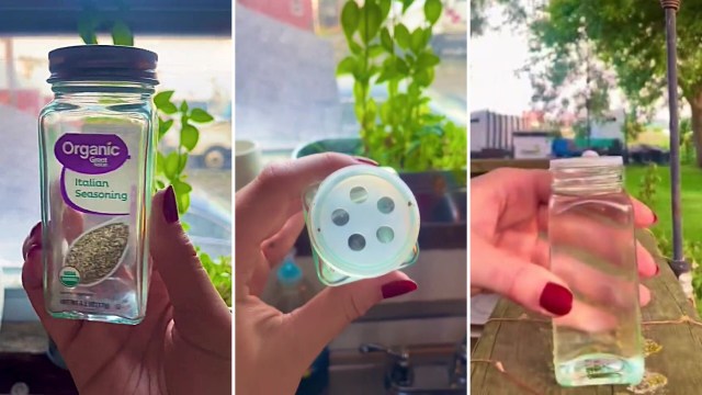 Gardener shares genius hack using old spice shaker bottles: 'I never ...