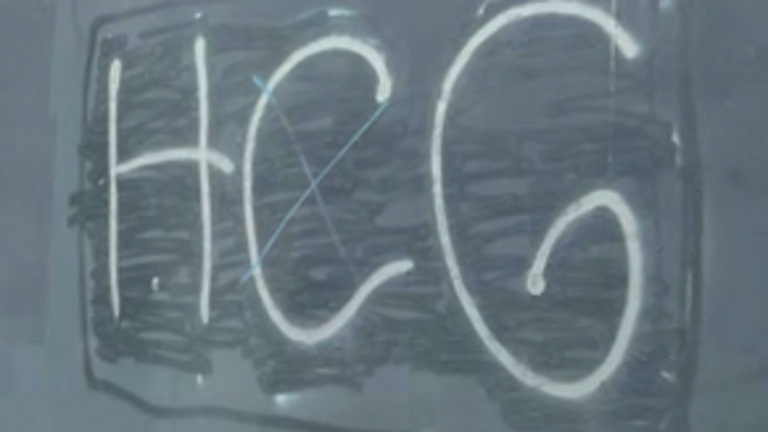 Hoover gang members accused of pimping children as young as 14 in Los ...