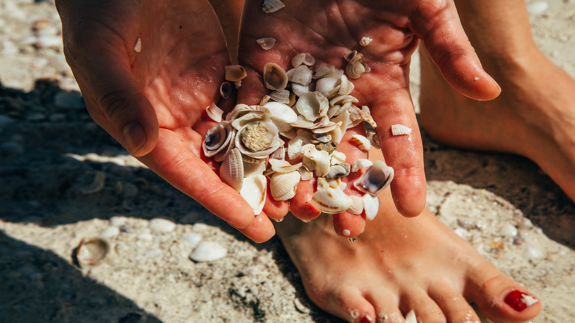 Bio-inspired seashell design turns recycled plastics into consistent ...
