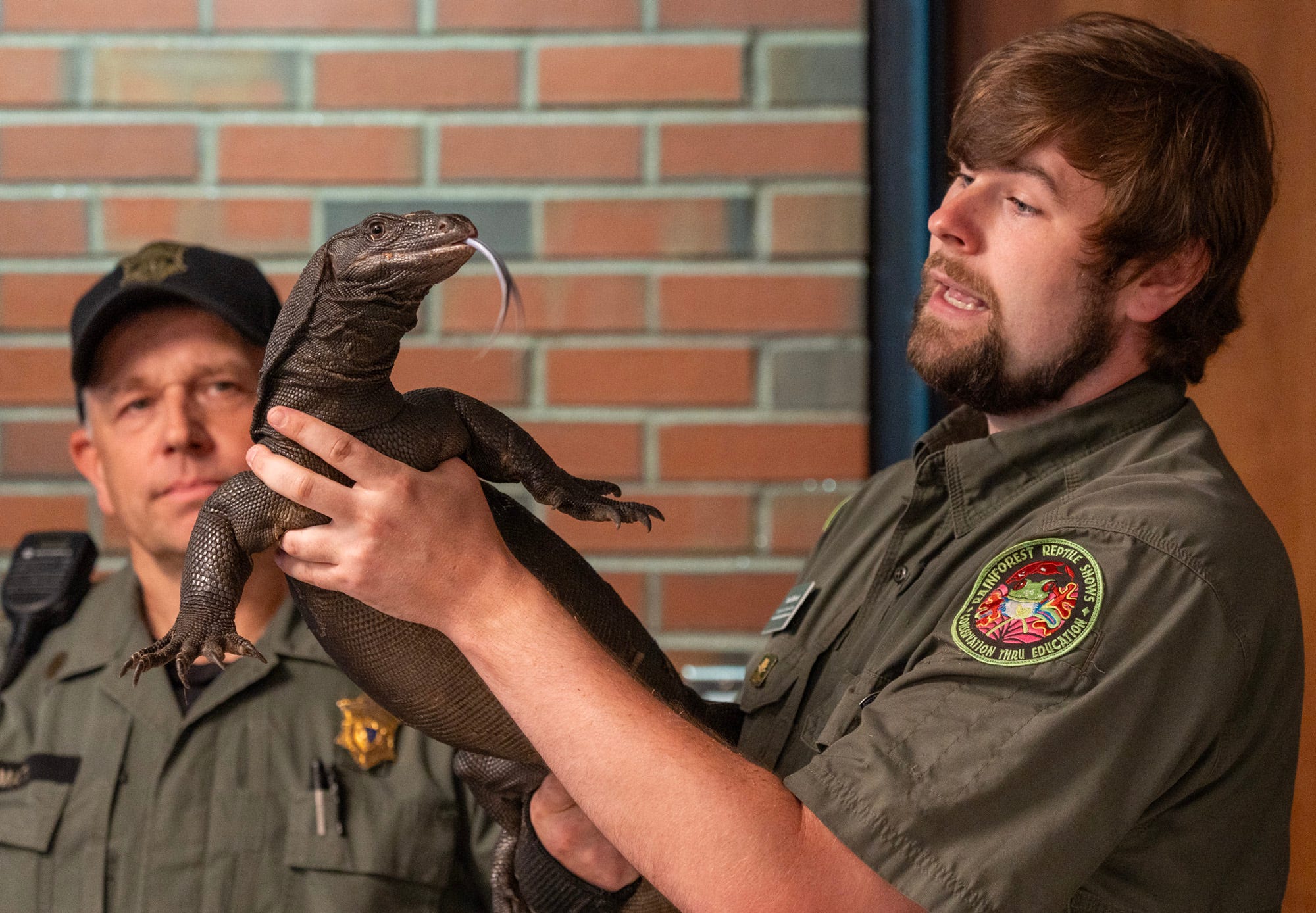 What new with Goose? Webster's unofficial town mascot is on the road to ...
