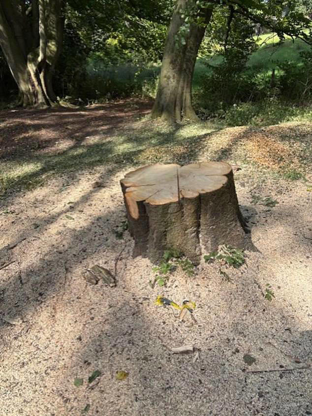 Revealed: Hero mum saved her daughter - just seconds before she was ...