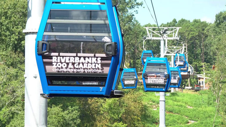 Saluda Skyride opens to the public at Riverbanks Zoo and Garden