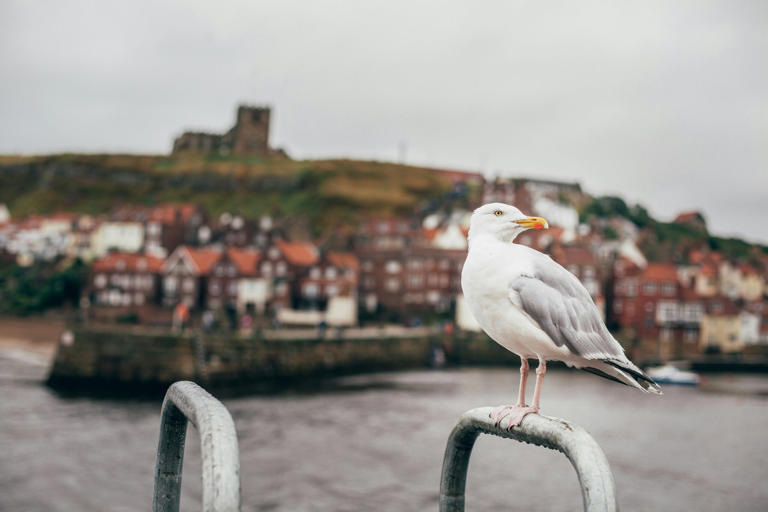 Slow Travel in the UK: Staying Longer in Fewer Places
