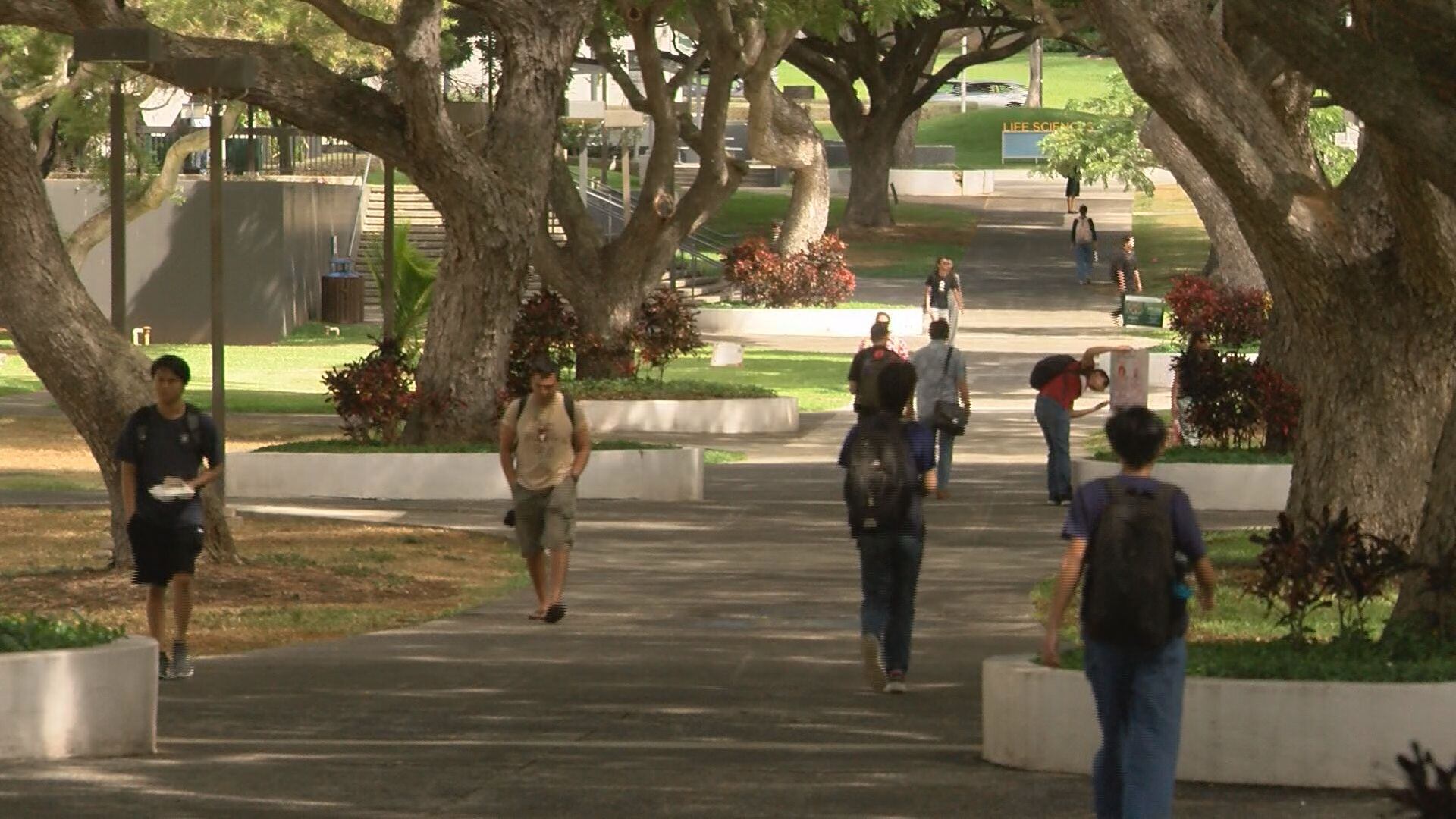 Rising costs put Hawaii students under pressure; advocates back ...