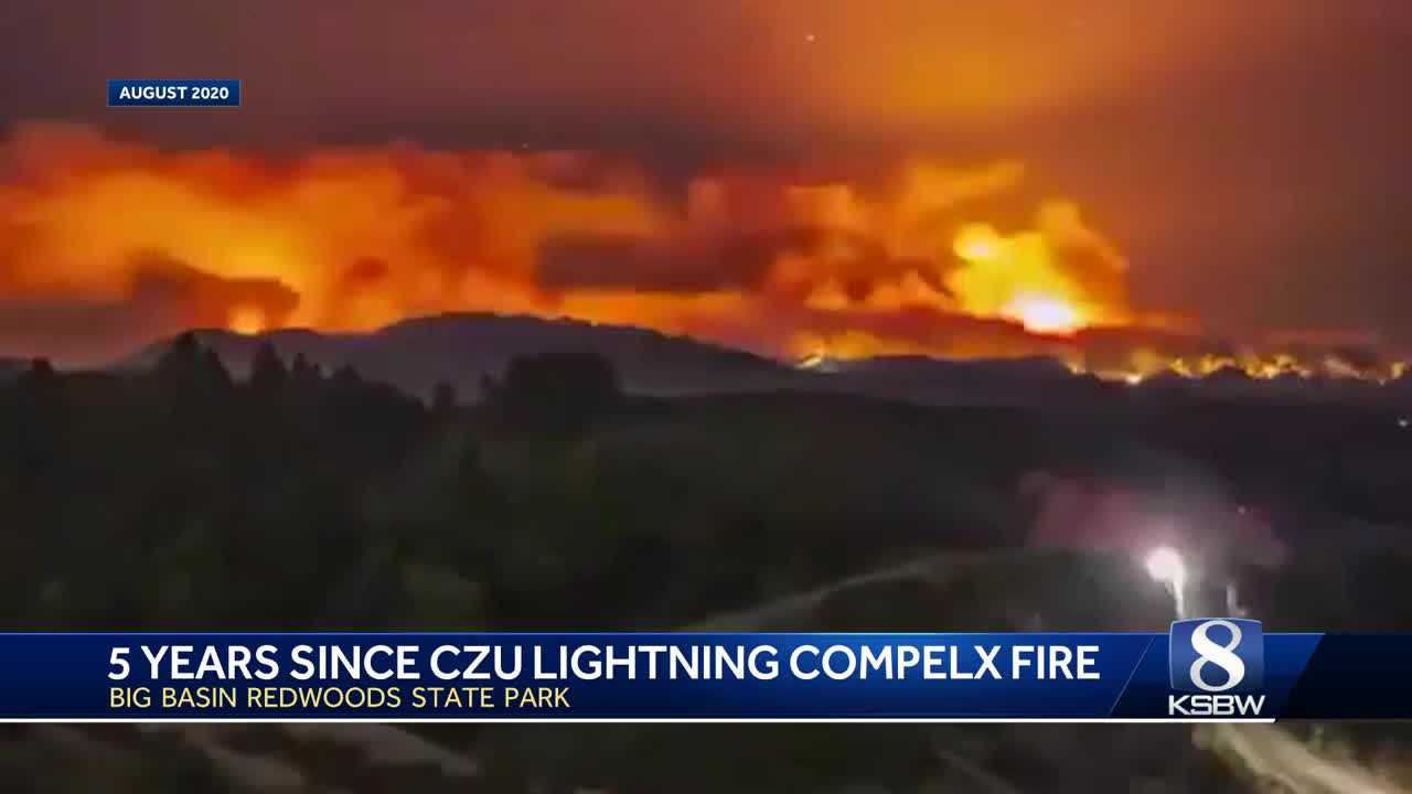 Santa Cruz Mountains continue recovery five years after CZU Lightning ...