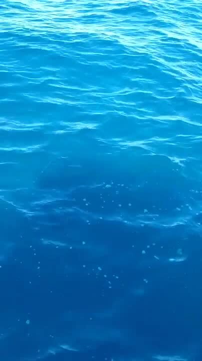 Woman's Bucket List Fish Catch