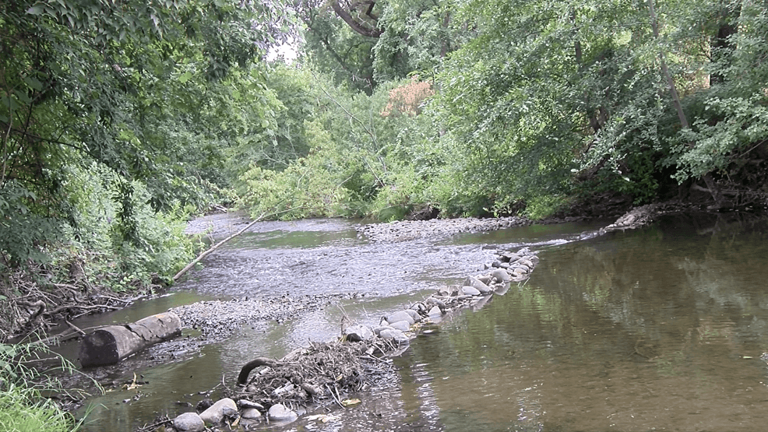 Big Chico Creek no swim advisory lifted after negative E coli tests