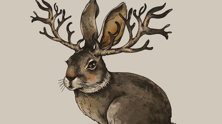 You might have seen pictures of 'zombie rabbits' going viral - and yes ...