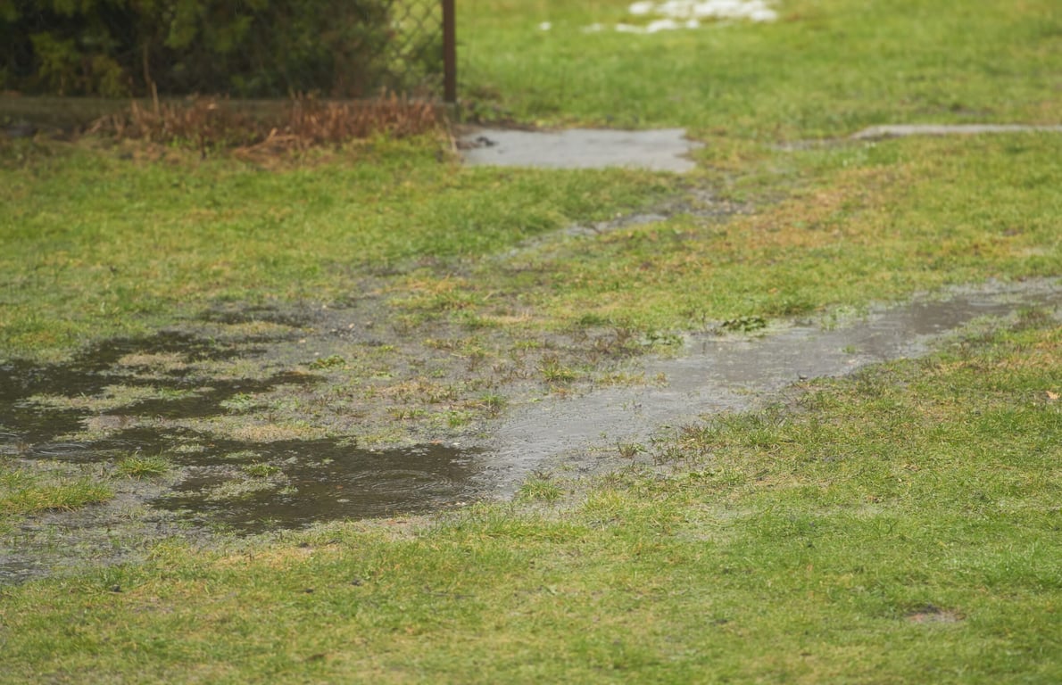 4 times watering your lawn does more harm than good
