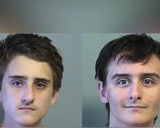 Unveiling the Motives Behind the Actions of the Bever Brothers