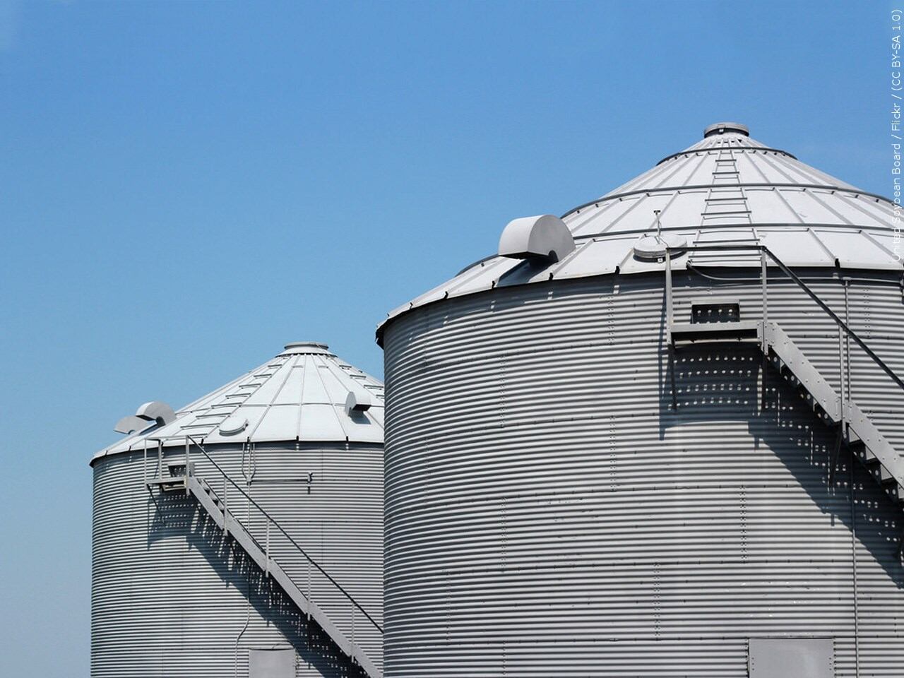 Man rescued from grain bin in Graves County