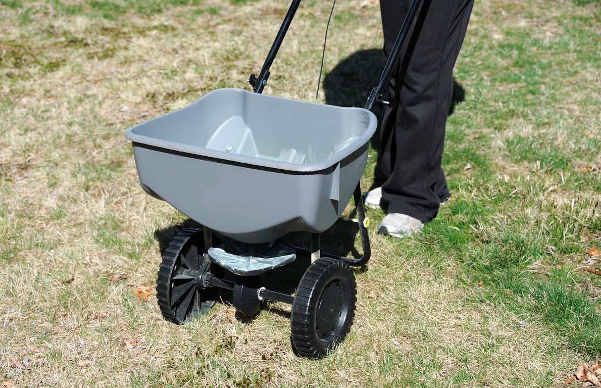 5 signs that it's high time to overseed your lawn