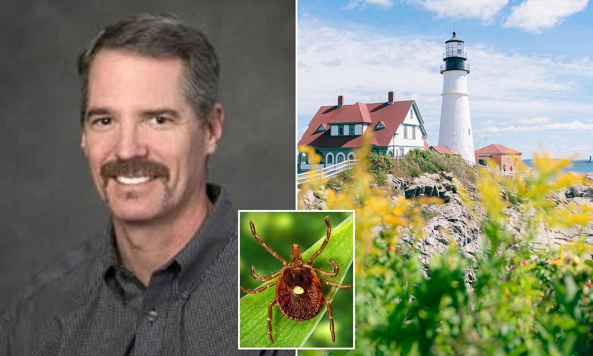 Island getaway loved by the wealthy forced to go VEGAN as mysterious ...