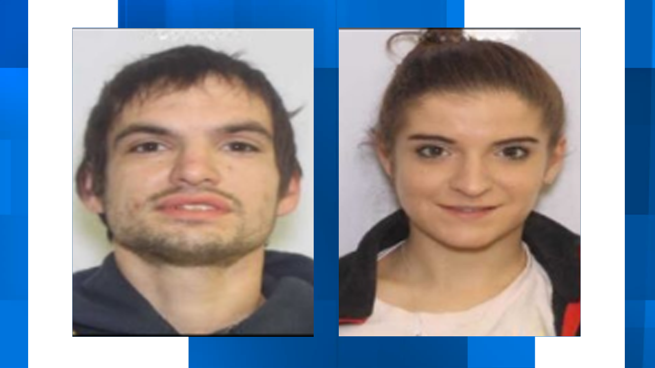 Colleton County deputies search for persons of interest in theft cases