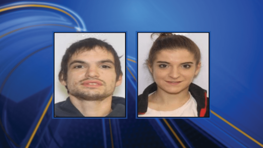 Colleton Co. looking for persons of interest in thefts