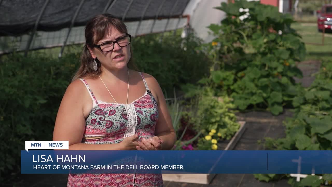 Montana Ag: 'Farm In The Dell' grows community and opportunity in Lewistown