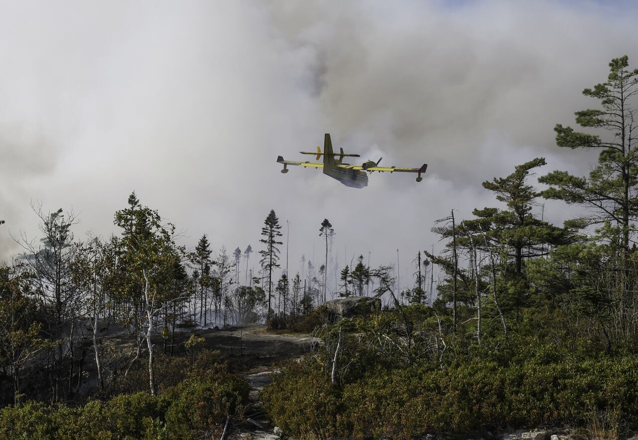 Halifax wildfire was human-caused, N.S. government confirms