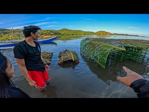 We Set a Monster Trap to Catch Huge Groupers!