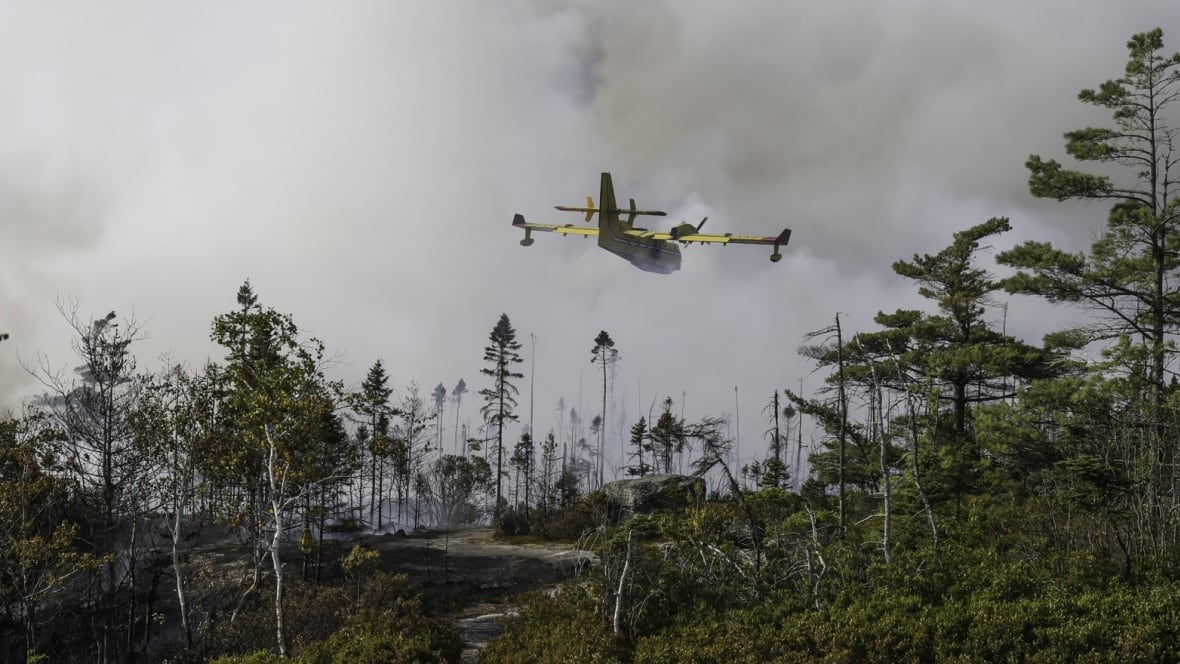 Halifax wildfire caused by human action: DNR