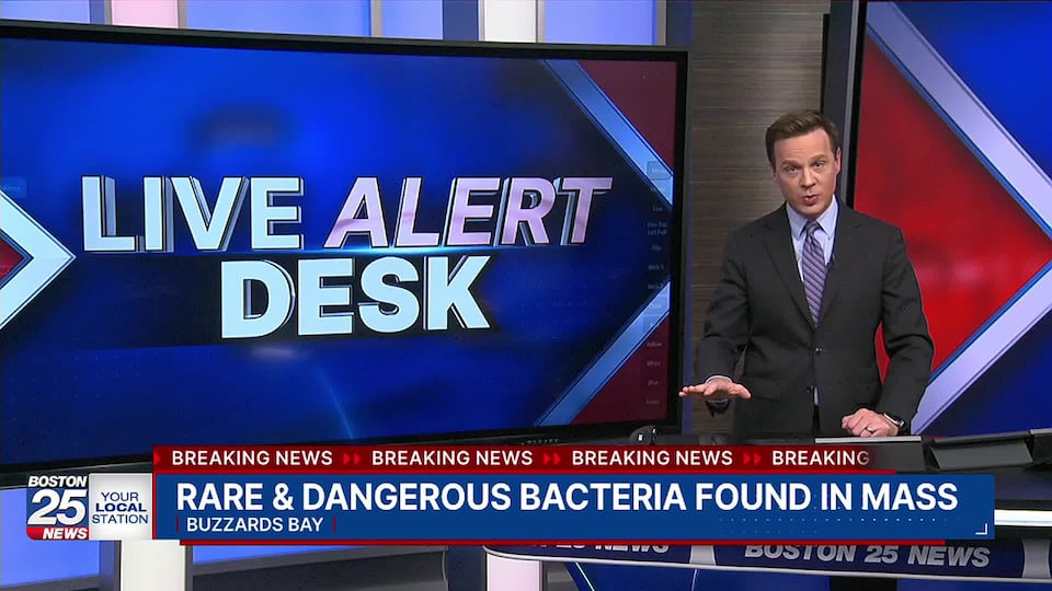 Department of Health issue warning after confirmed case of rare ...