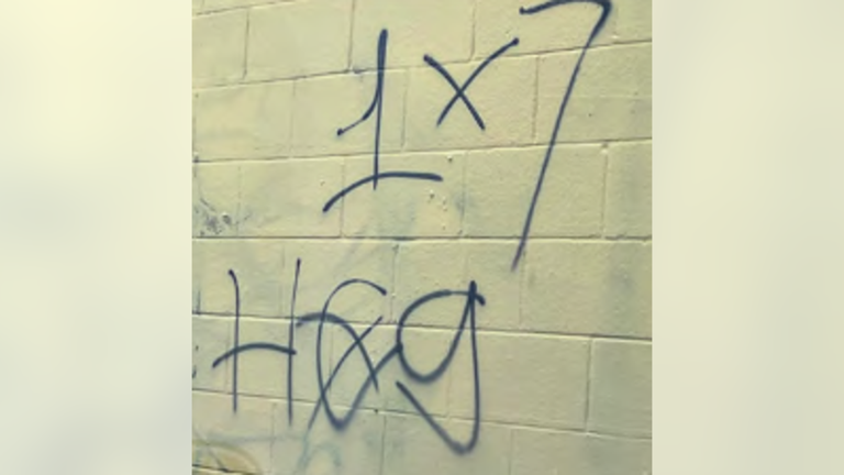 Hoover gang members accused of pimping children as young as 14 in Los ...