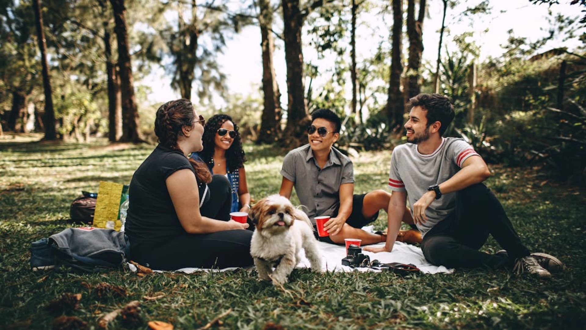 10 Reasons Why People Really Go Out