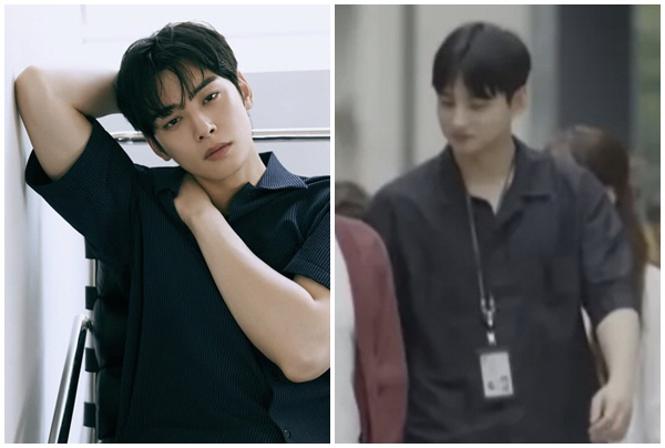 Cha Eun-woo, who joined the military, revealed his face genius brother ...
