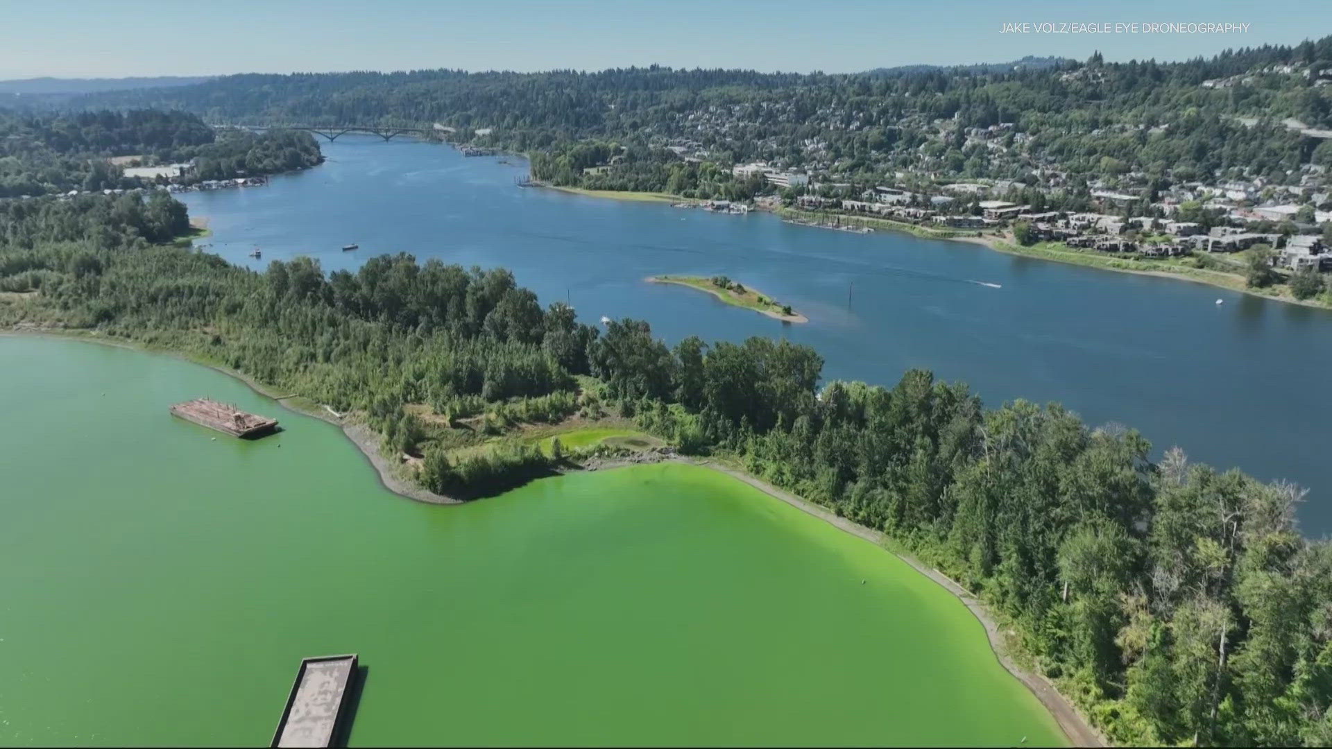 Oregon Health Authority issues advisory for parts of Willamette River ...