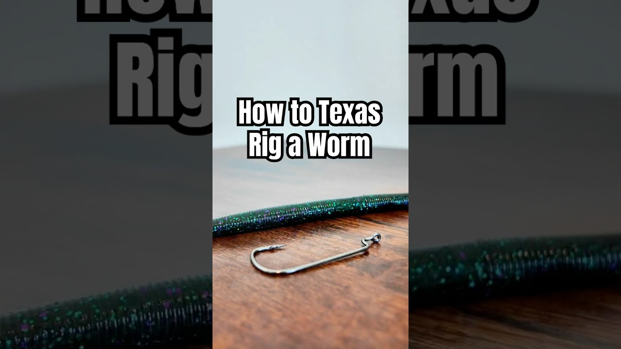How to Texas Rig a Plastic Worm Bass Fishing Tut