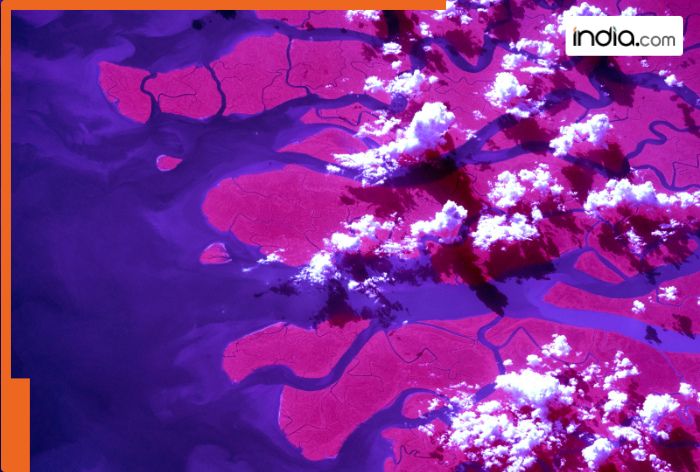 How does river Ganga look from space? NASA releases stunning picture ...