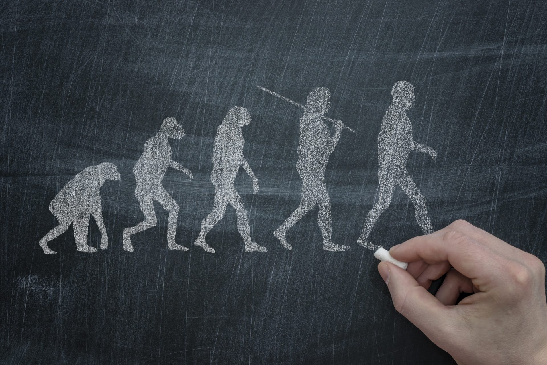 Een oeroude tand verandert alles wat we weten over de prehistorie