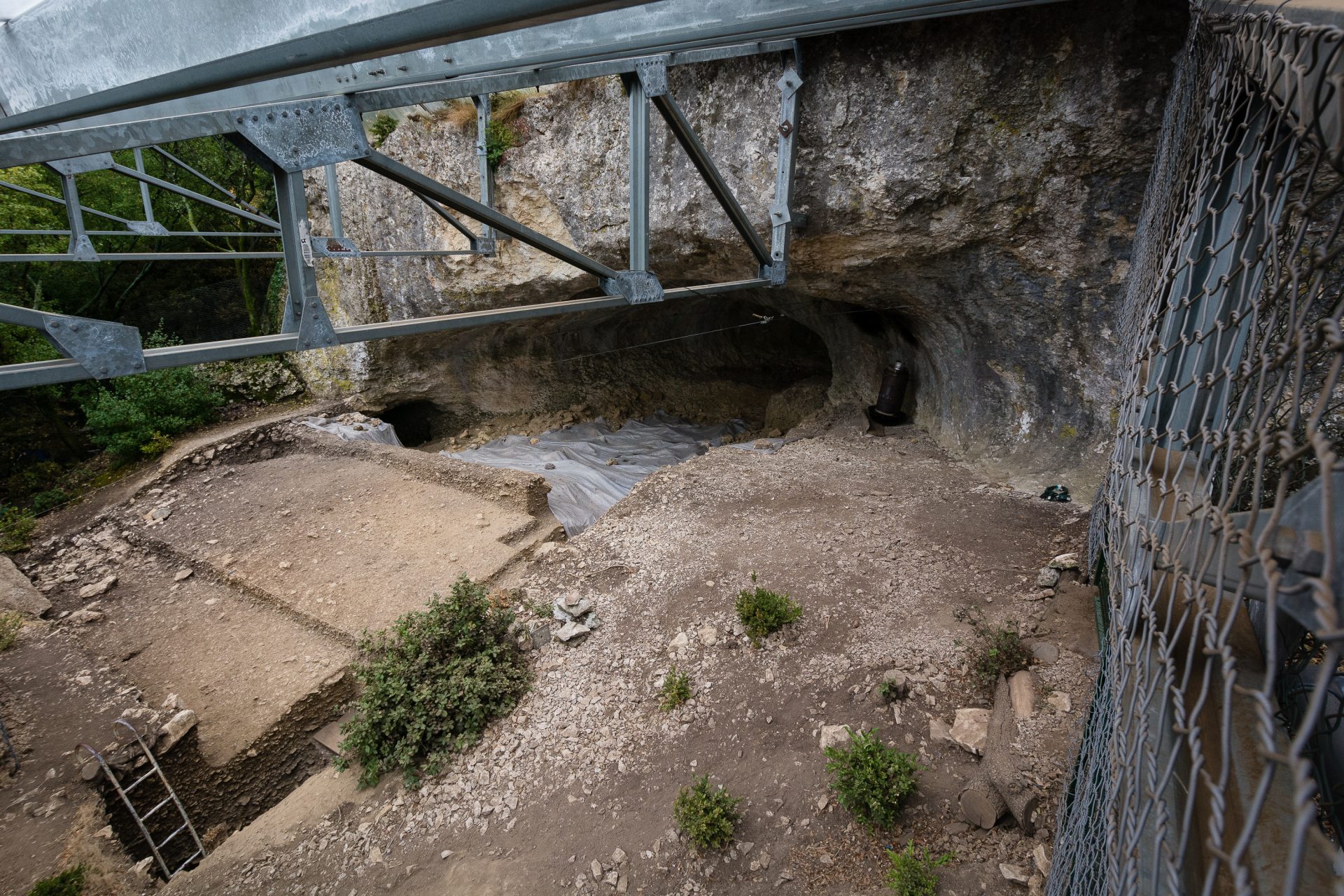Een oeroude tand verandert alles wat we weten over de prehistorie