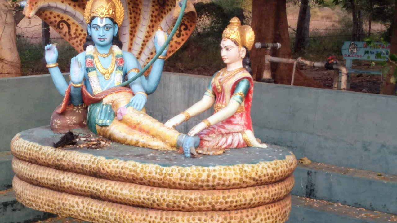 Why is the Peepal tree worshipped in India