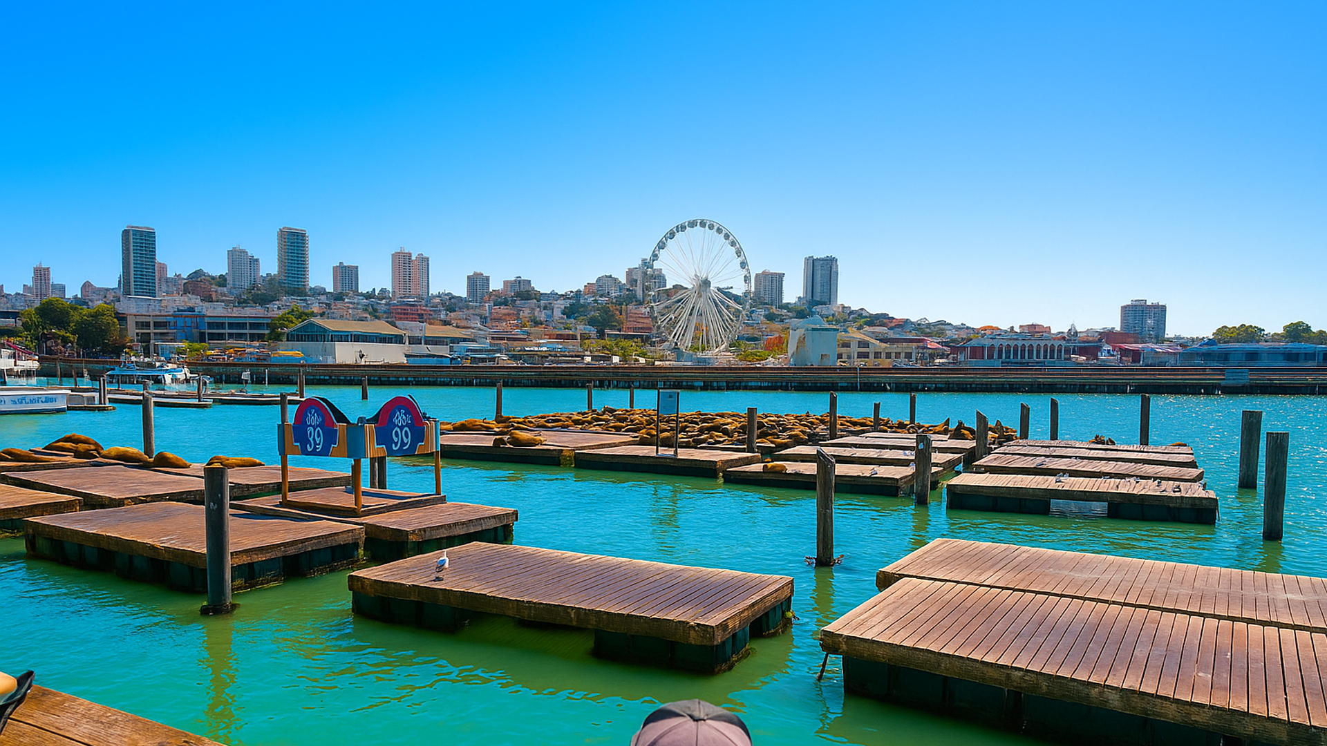 Pier 39 San Francisco – A Sunny Day at California’s Famous Fisherman’s ...