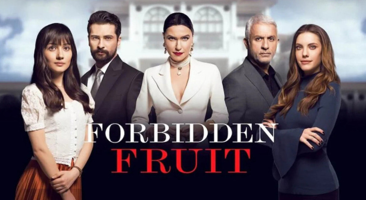 Forbidden Fruit, anticipazioni di oggi (14 agosto): Alihan rimane solo con Zeynep e si dichiara