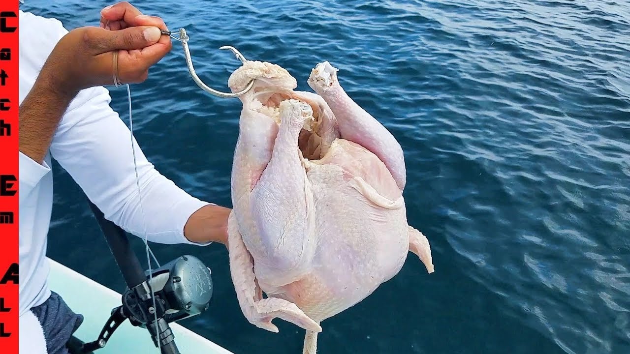 Fishing With a Whole Chicken - You Won’t Believe What Bites