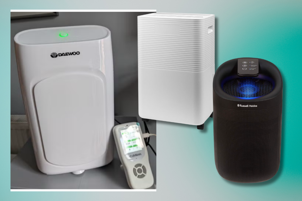 Best dehumidifiers for 2025, expert-tested to tackle damp