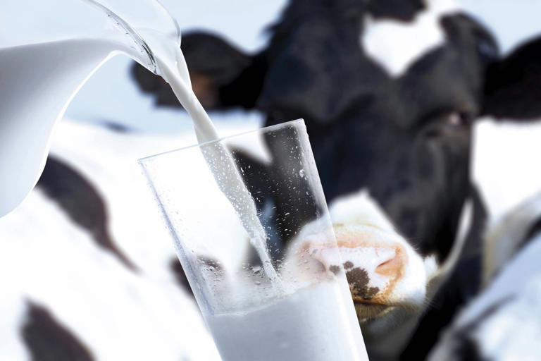 Viel trinken: Diese drei Getränke sind noch besser als Wasser