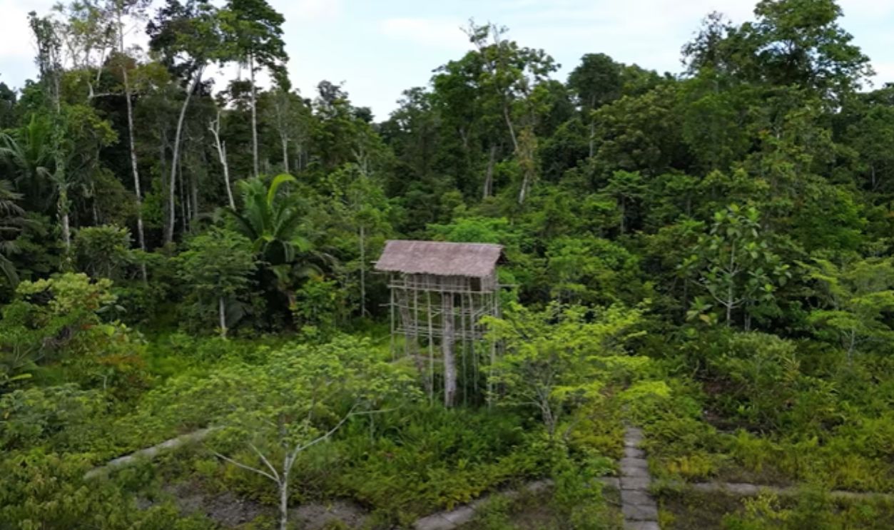 Photos Of The Hidden Treehouse Tribe That Still Practices Cannibalism