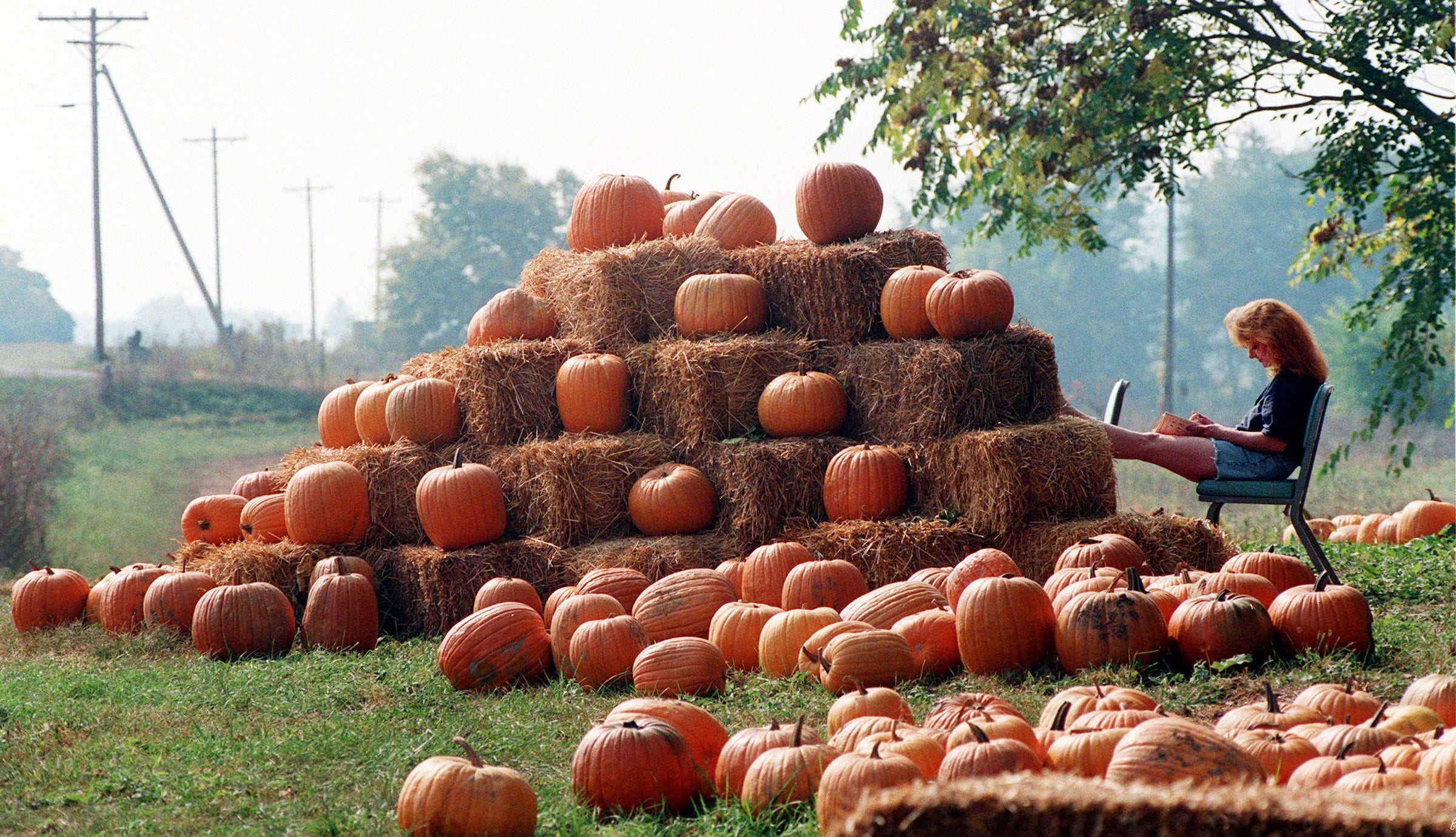Summer's almost over: What to know about the first day of fall and the ...